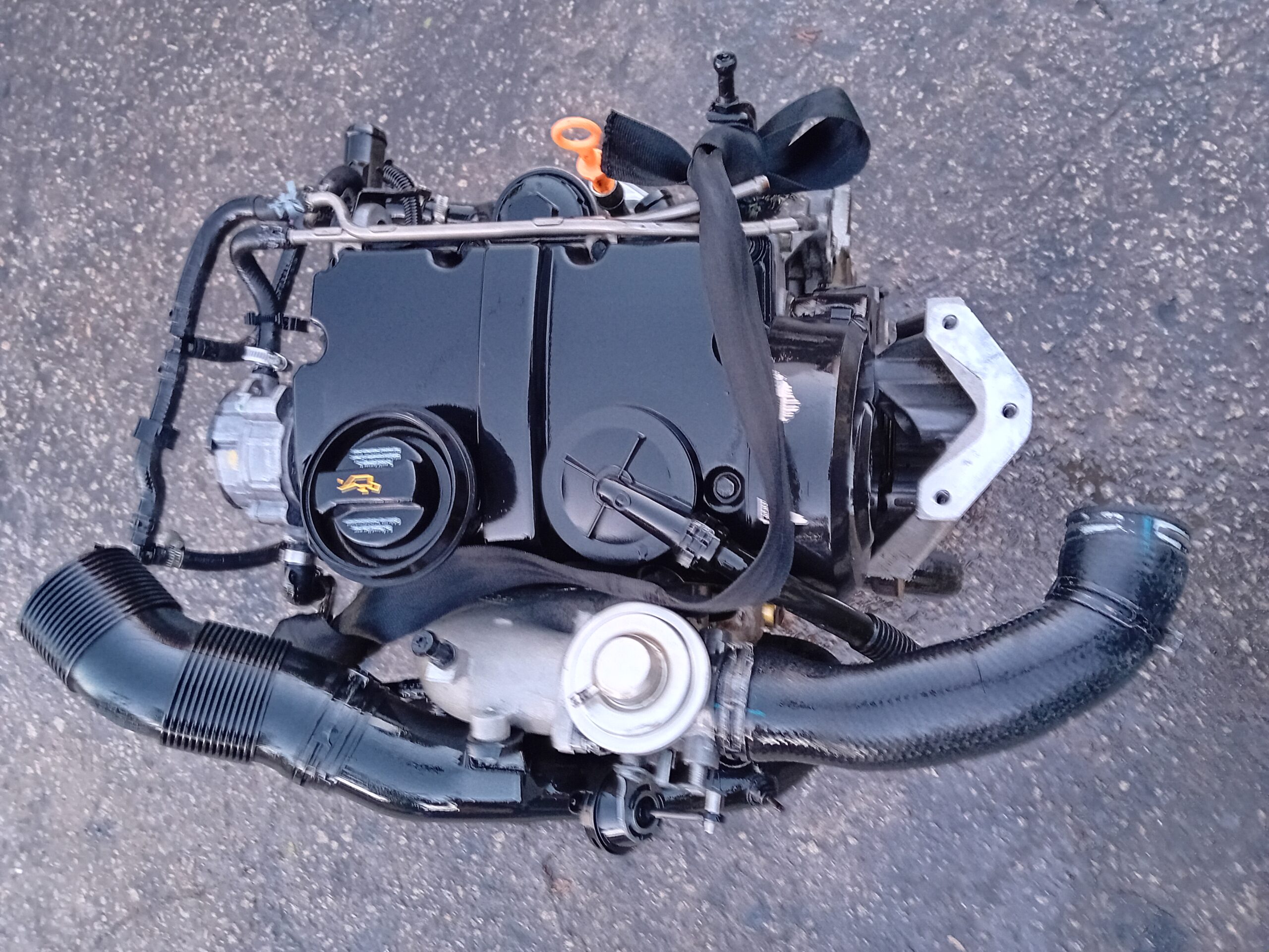 Motore BNM SEAT IBIZA 1.4TDI - Auto Ricambi Doc